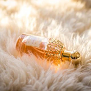 Premium – PerfumeOilCorner.com